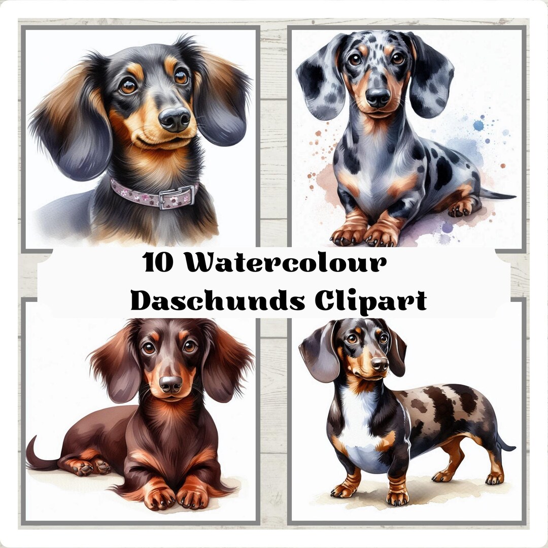 10 Watercolour Dachshund Clipart Images - Digital Download, Weenie ...