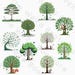 10 Cute Illustrated Tree Clipart | Whimsical Art, Birds & Squirrels ...
