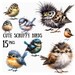 15 Cute Scruffy Birds PNG, Whimsical Watercolour Birds Clipart ...