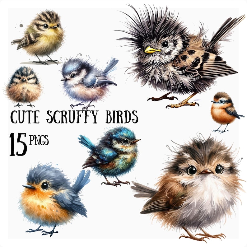 15 Cute Scruffy Birds PNG, Whimsical Watercolour Birds Clipart ...
