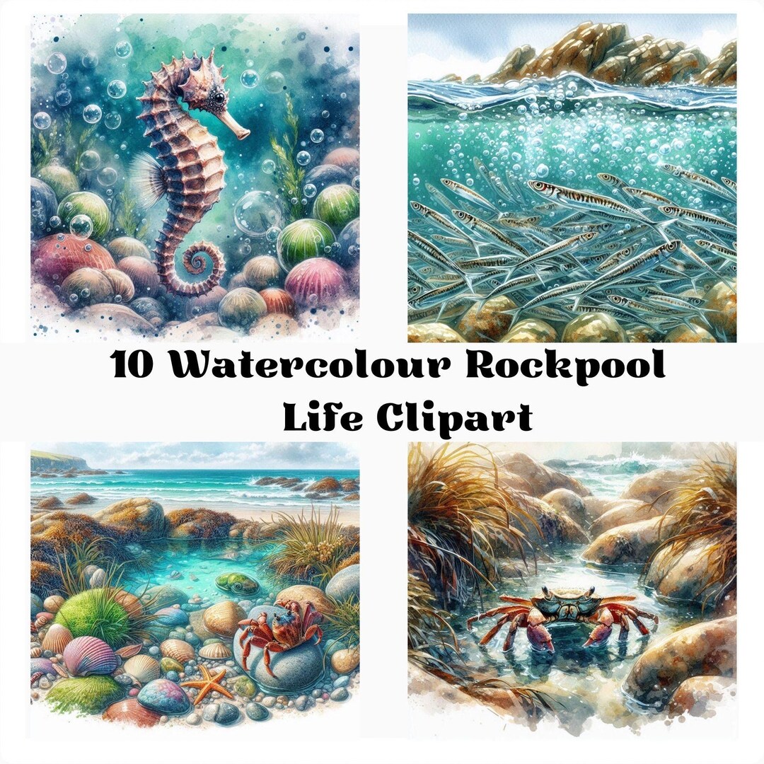 Watercolor Rockpool Creatures Clipart: Crab, Seahorse, Seaweed (instant ...