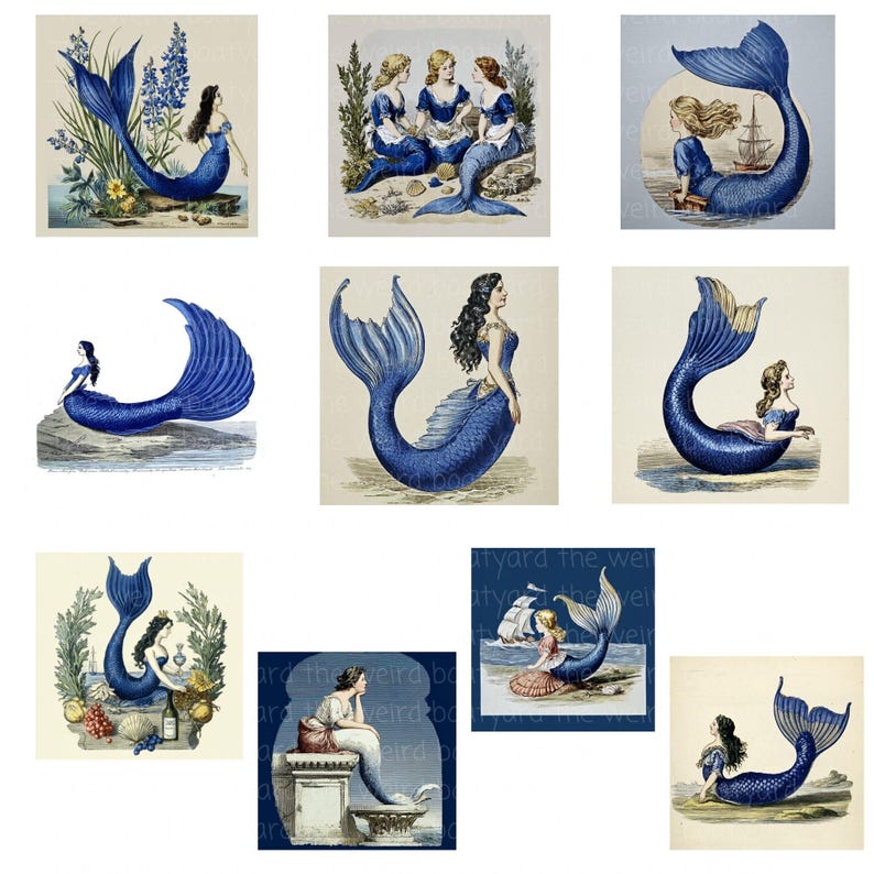 Vintage Maritime Mermaids Pngs - Etching Style Illustrations (digital ...