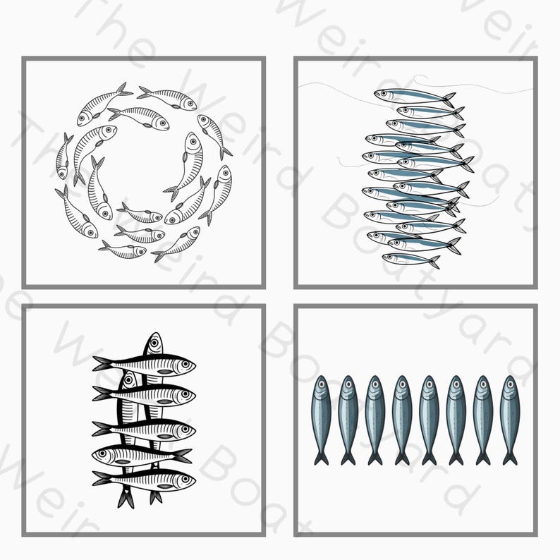 Sardine Line Art Clipart, Nautical Fisherman Pngs (digital Download) - Etsy