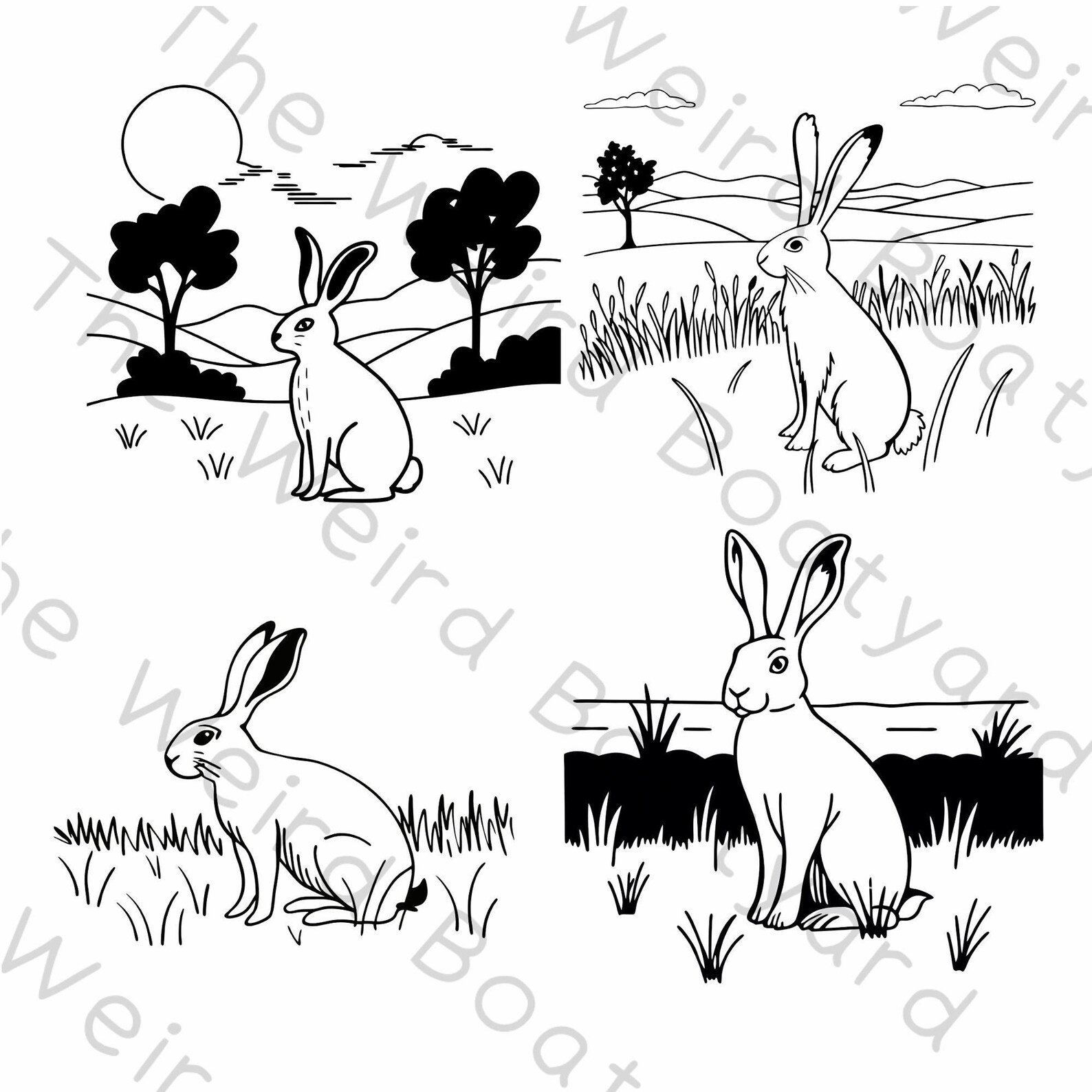 10 Hare SVG Clipart, SVG Files With Transparent Backgrounds ...