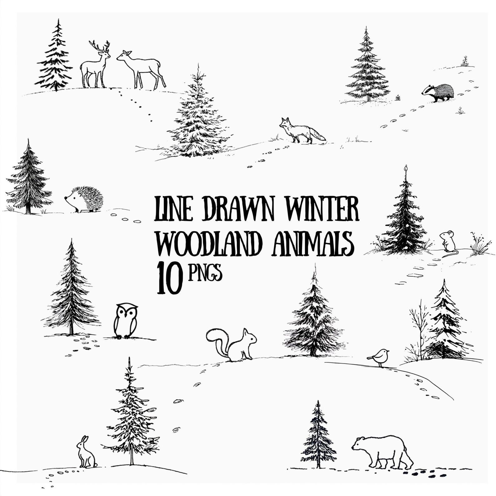 Winter Woodland Animals Line Art: Christmas Clipart Pngs (digital ...