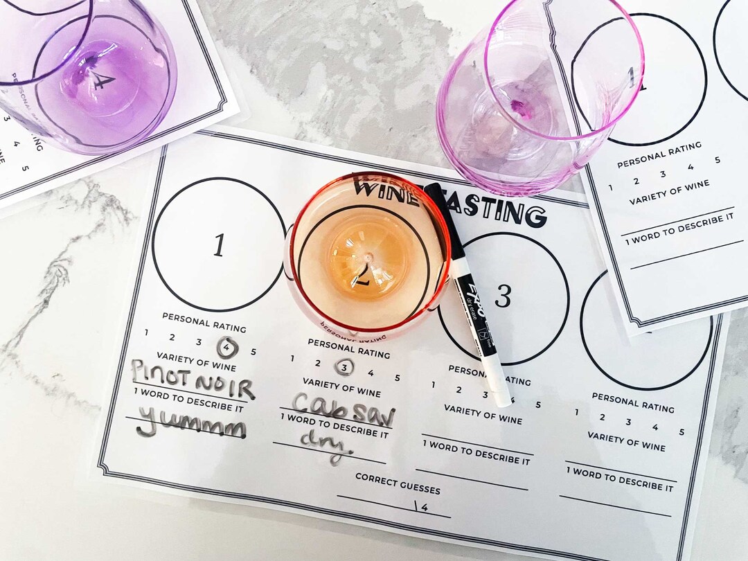 Blind Wine Tasting Party Kit Gifts for Wine Lovers Wine Lover Party Kit ...