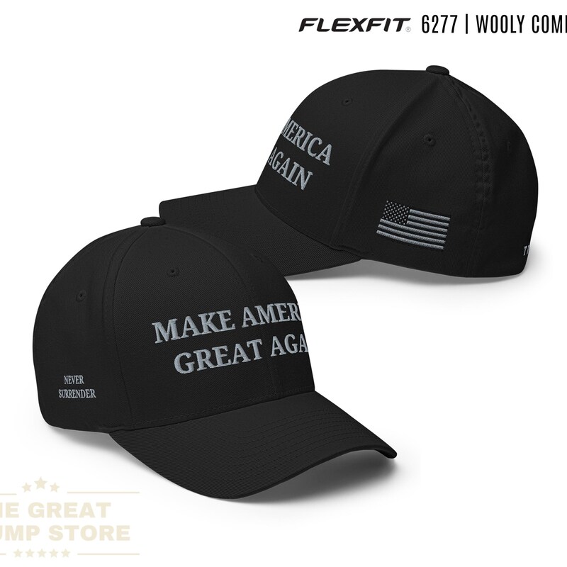 Make Great Again Hat - Etsy