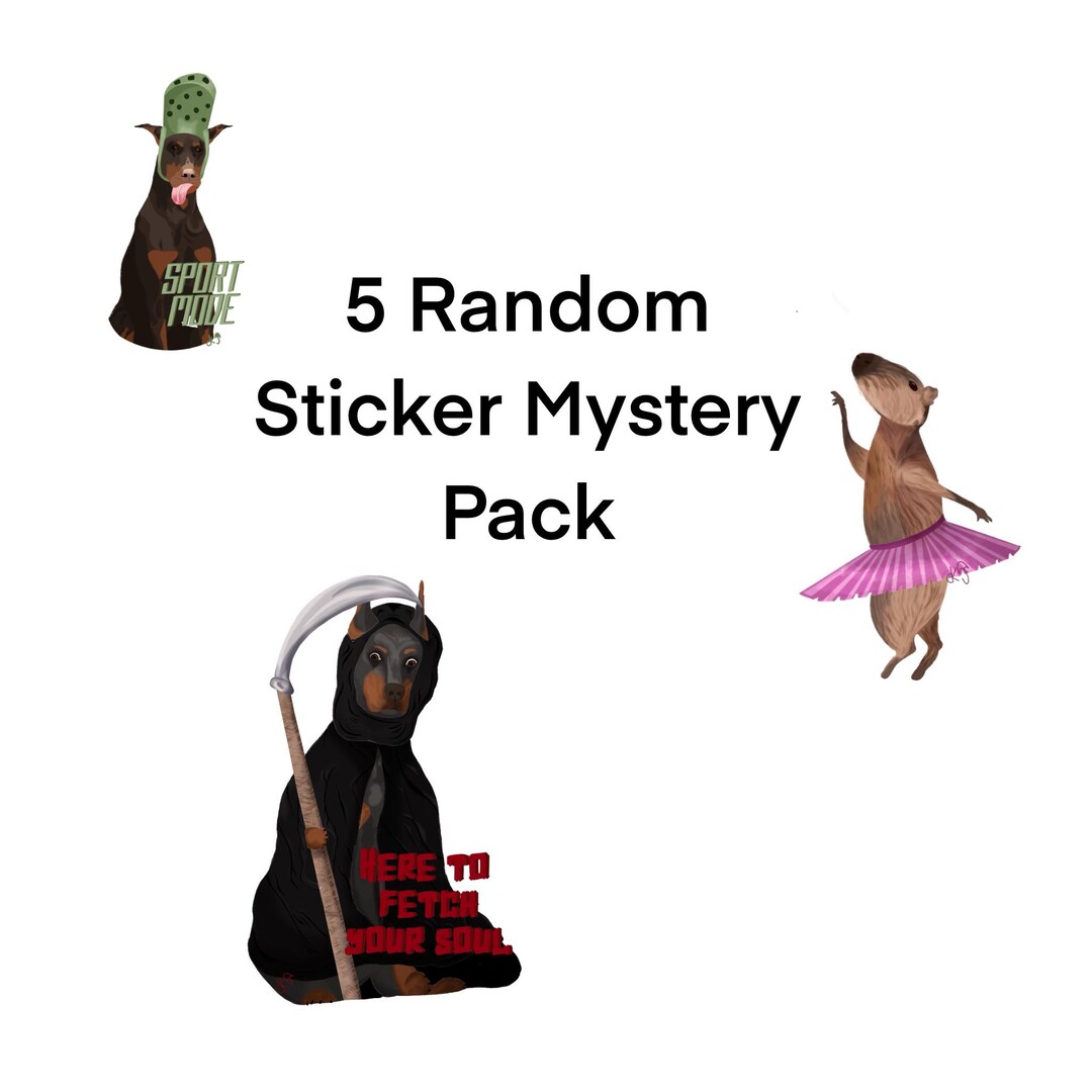 5 Random Sticker Mystery Pack - Etsy