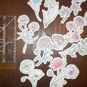 August Birth Flower Sticker Poppy - Etsy