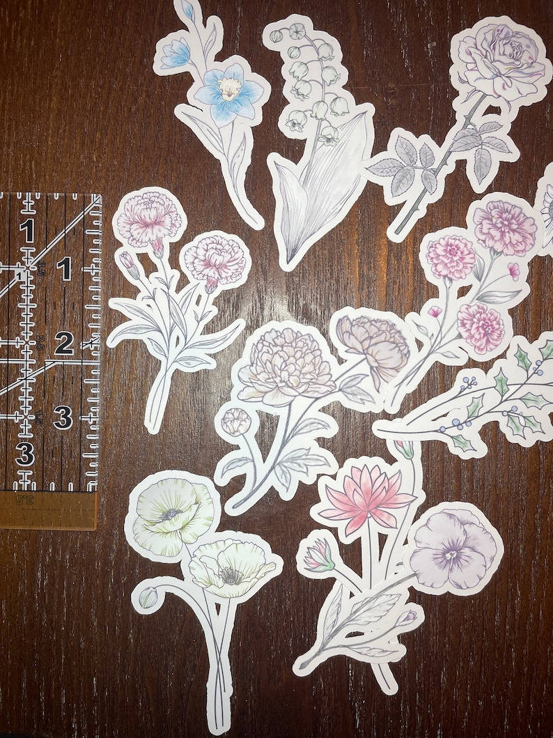 August Birth Flower Sticker Poppy - Etsy