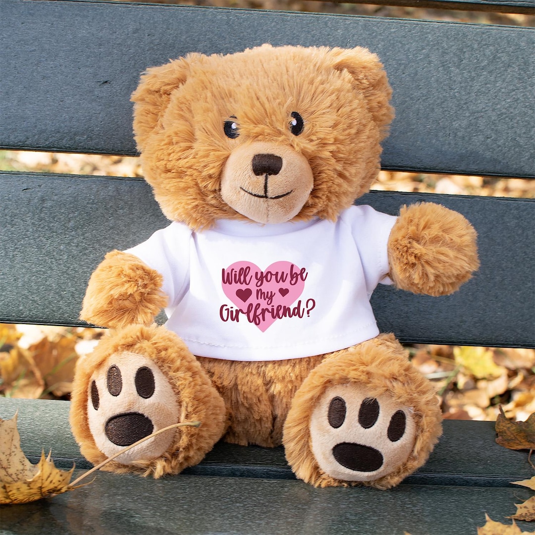 Will You Be My Girlfriend Stuffed Bear | Cute Proposal Gift, Make It ...