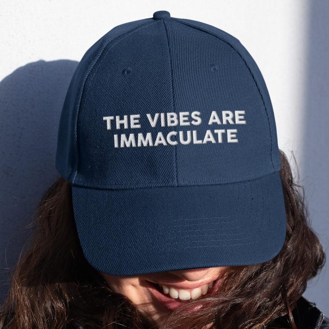 The Vibes Are Immaculate Dad Hat, Cute Women's Dad Hat, Women's Hat ...