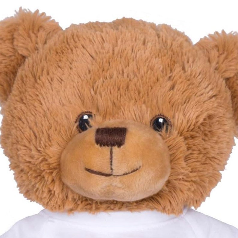 Custom Text Stuffed Bear, Cute Personalized Birthday Anniversary Gift ...