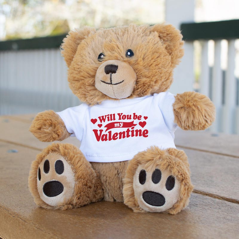 Valentine Teddy Bear - Etsy