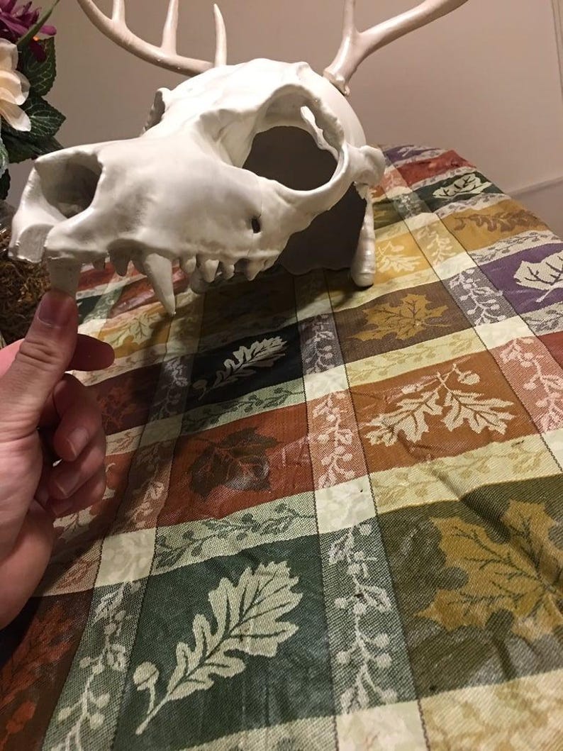 Wendigo Mask Wearable Halloween Costume , Halloween 2024 , Halloween ...