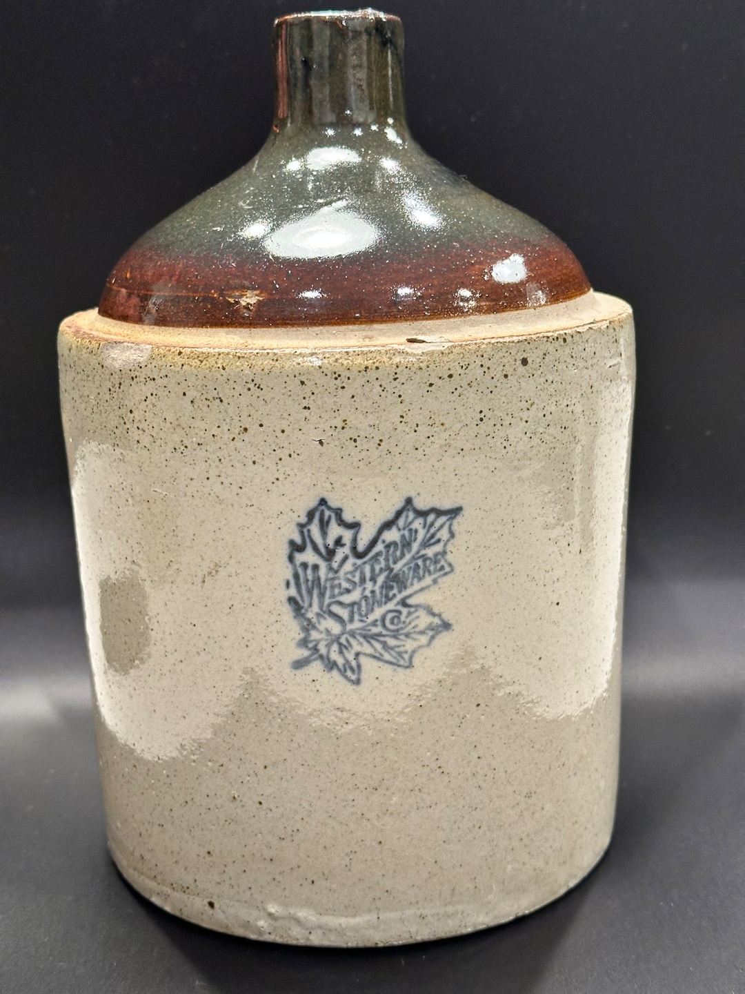 Western Stoneware 1 Gallon Jug - Etsy