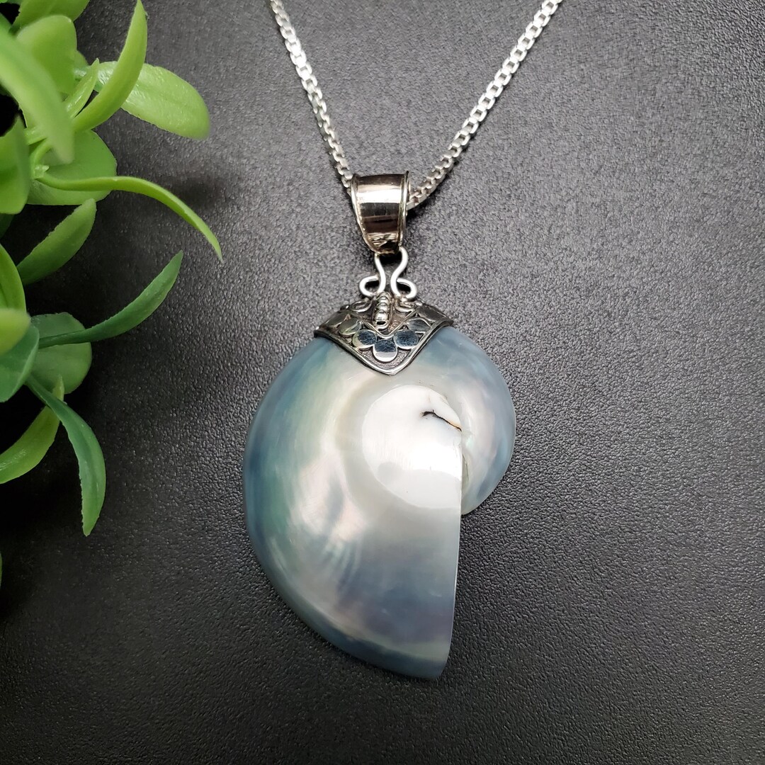 ATS-AYU020-D | Big Nautilus Shell Necklace Pendant Options With Silver ...