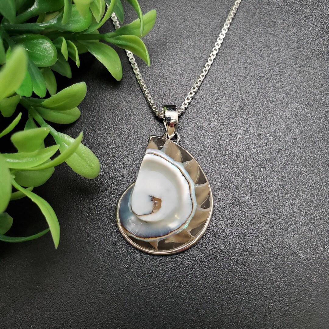 ATS-AYU020-E | Big Nautilus Shell Necklace Pendant Options With Silver ...