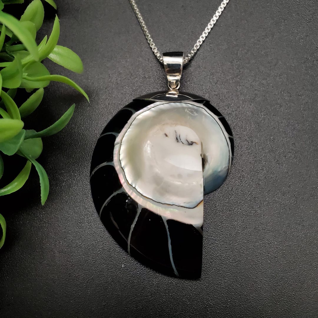 ATS-AYU020 | Big Nautilus Shell Necklace Pendant Options With Silver ...