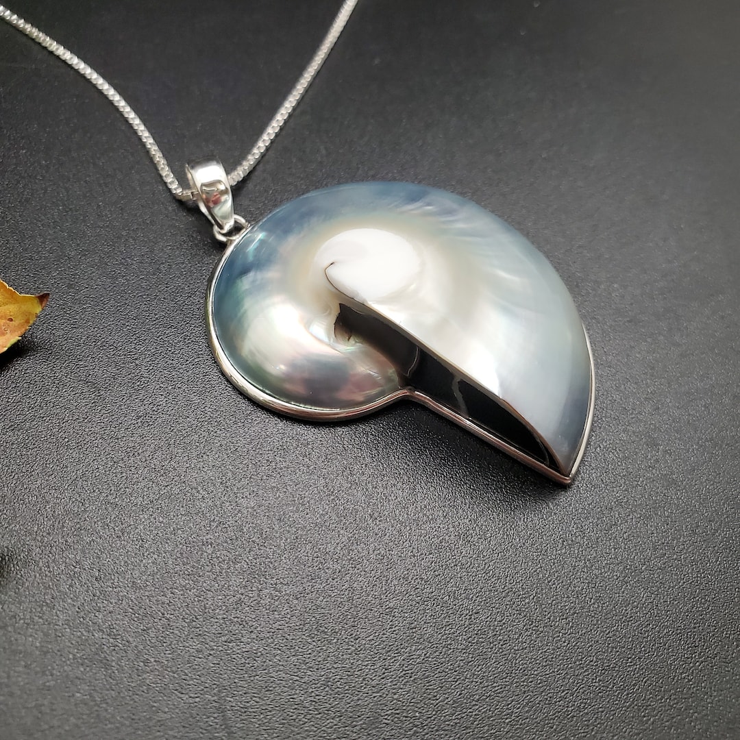 ATS-AYU020 | Big Nautilus Shell Necklace Pendant Options With Silver ...