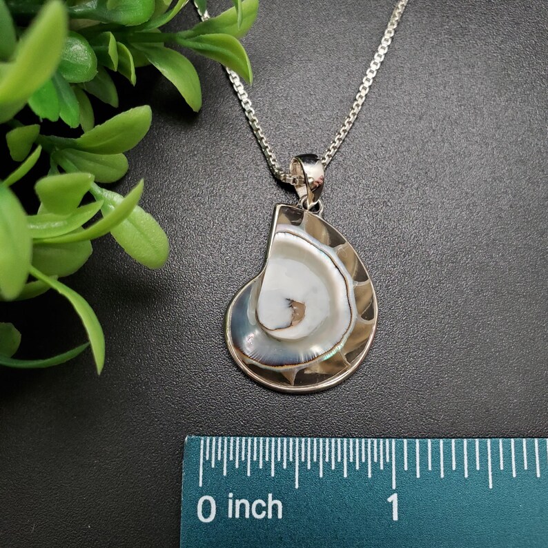 ATS-AYU020-E | Big Nautilus Shell Necklace Pendant Options With Silver ...