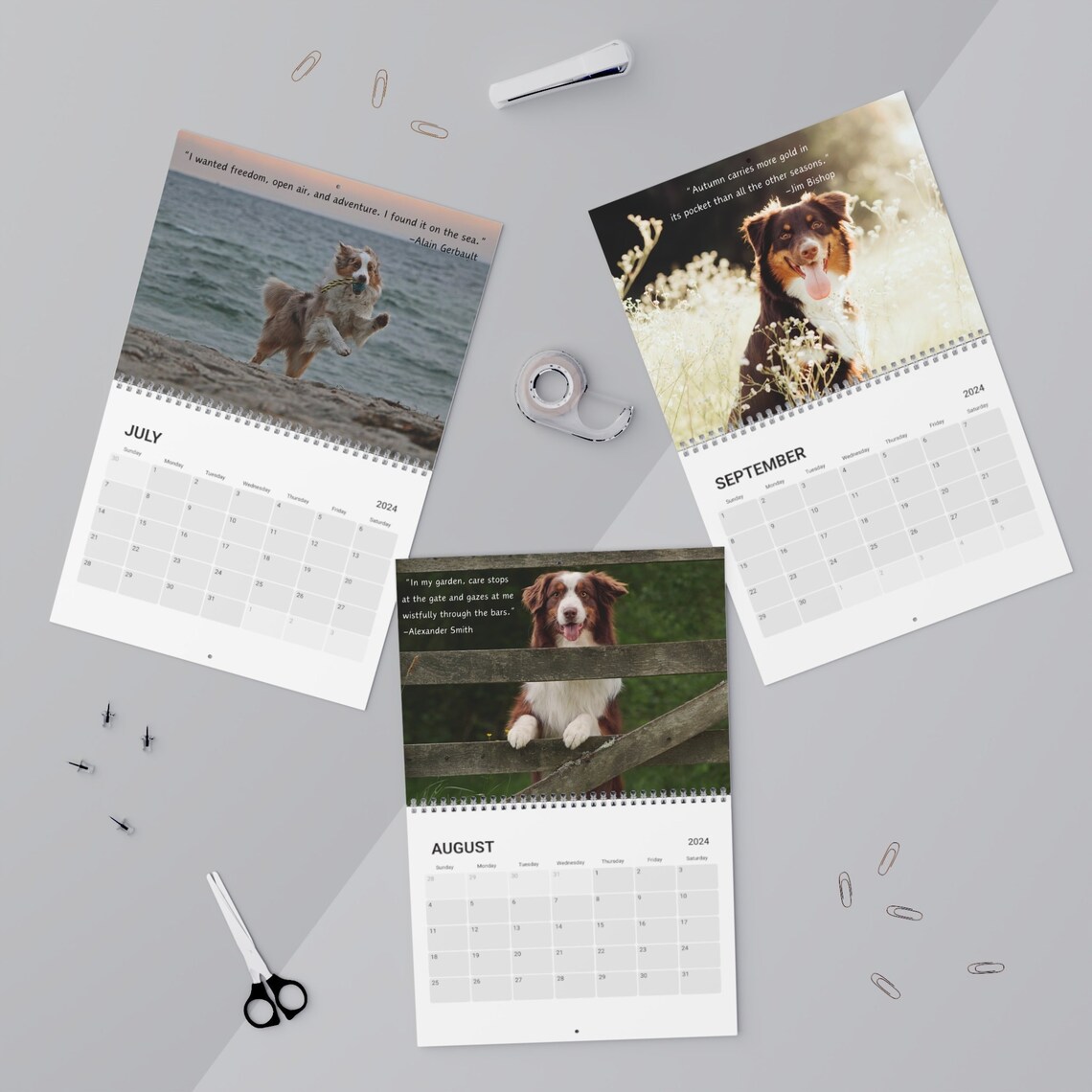 Australian Shepherd 2024 Wall Calendar, Australian Shepherd Calendar ...