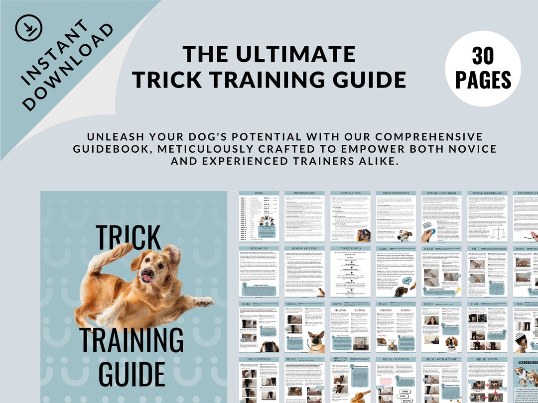 Comprehensive Dog Trick Training Guide | Step-by-step Photo Breakdown ...