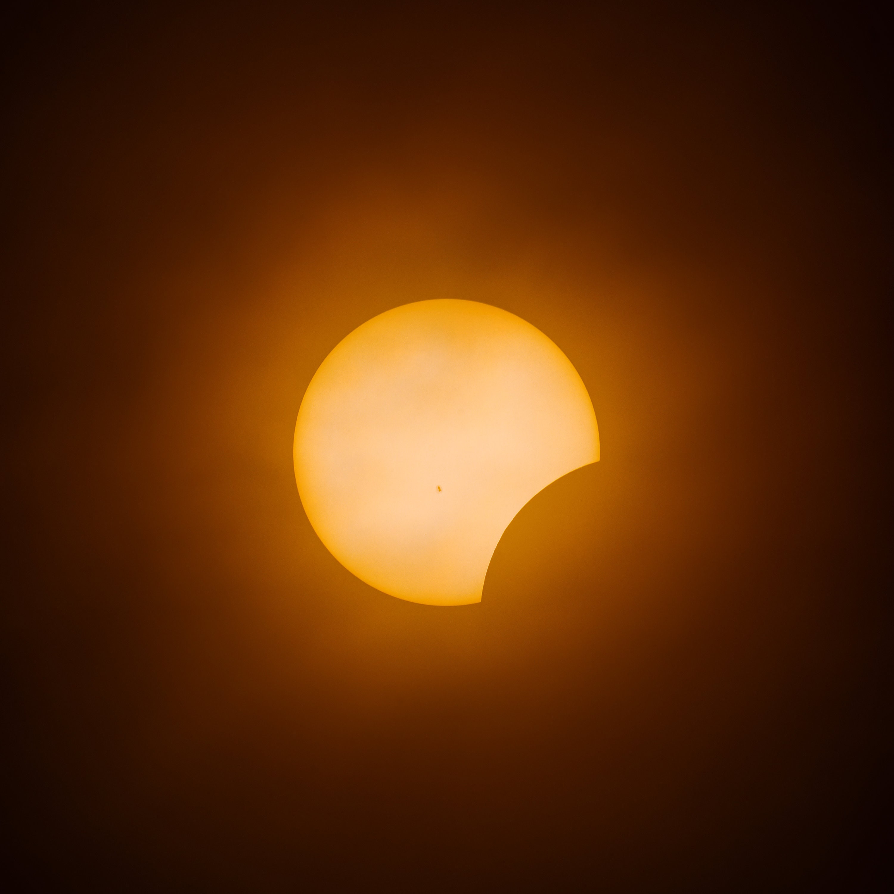 2024 Total Solar Eclipse High Res Photos, Digital Downloads, Digital ...