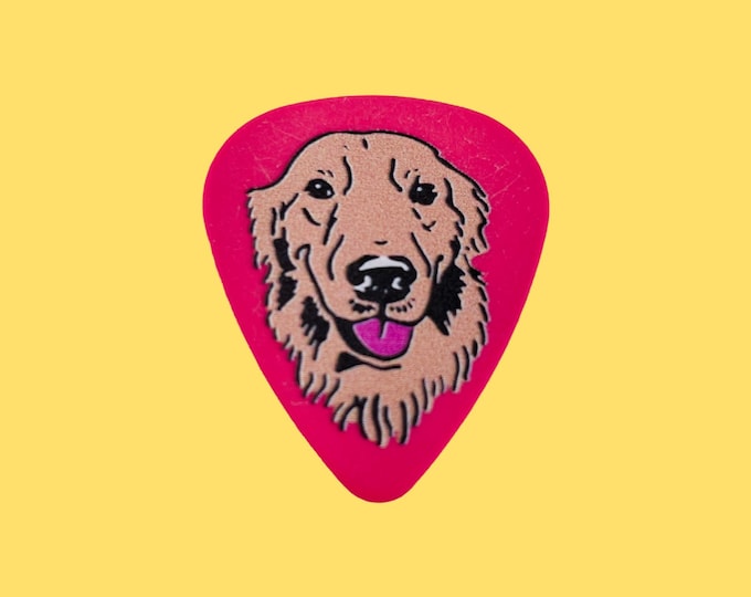 Jim Dun Guitar Pick Twenty One Pilots, Midwest Indigo - Etsy