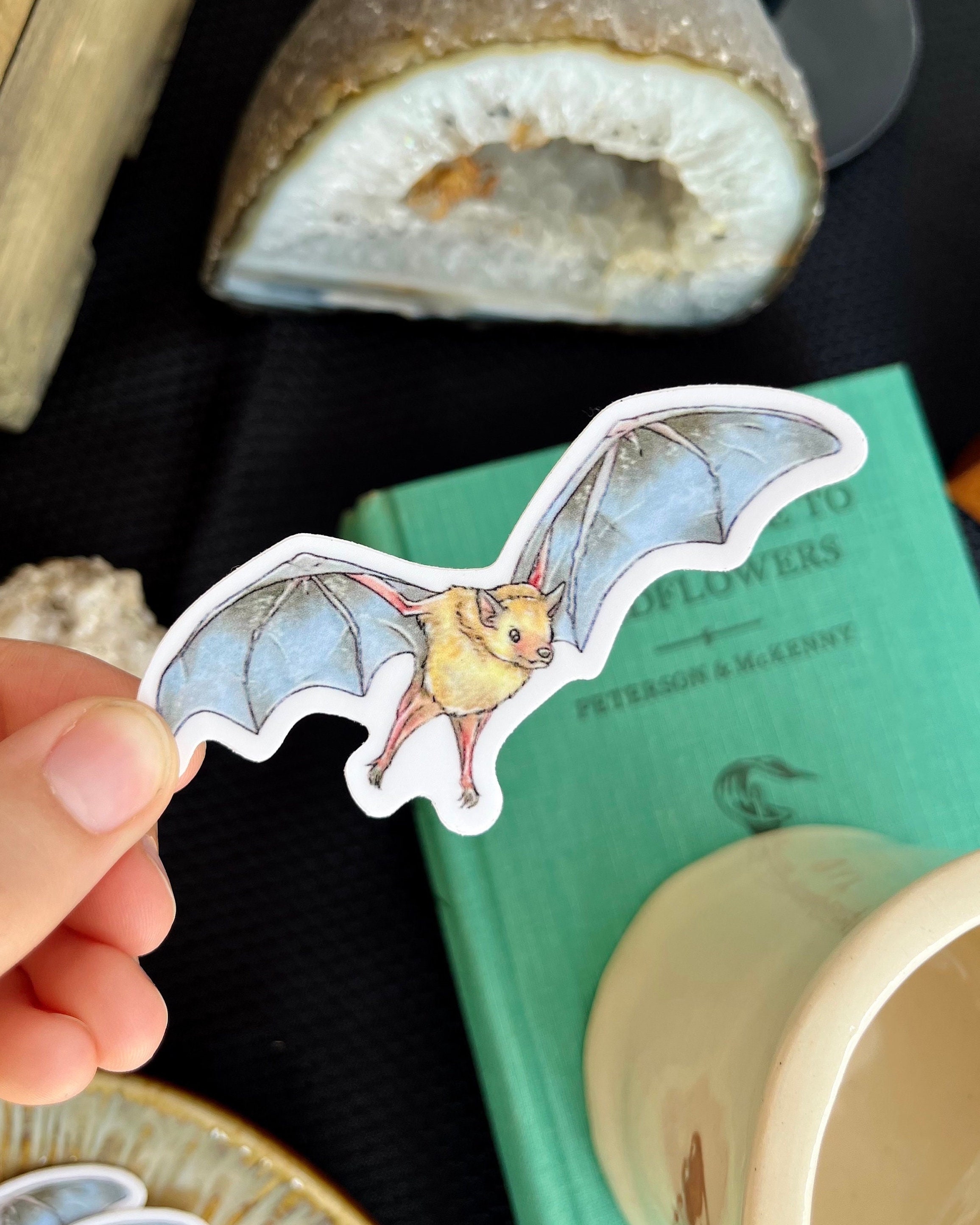 Long-nosed Bat Sticker - Etsy