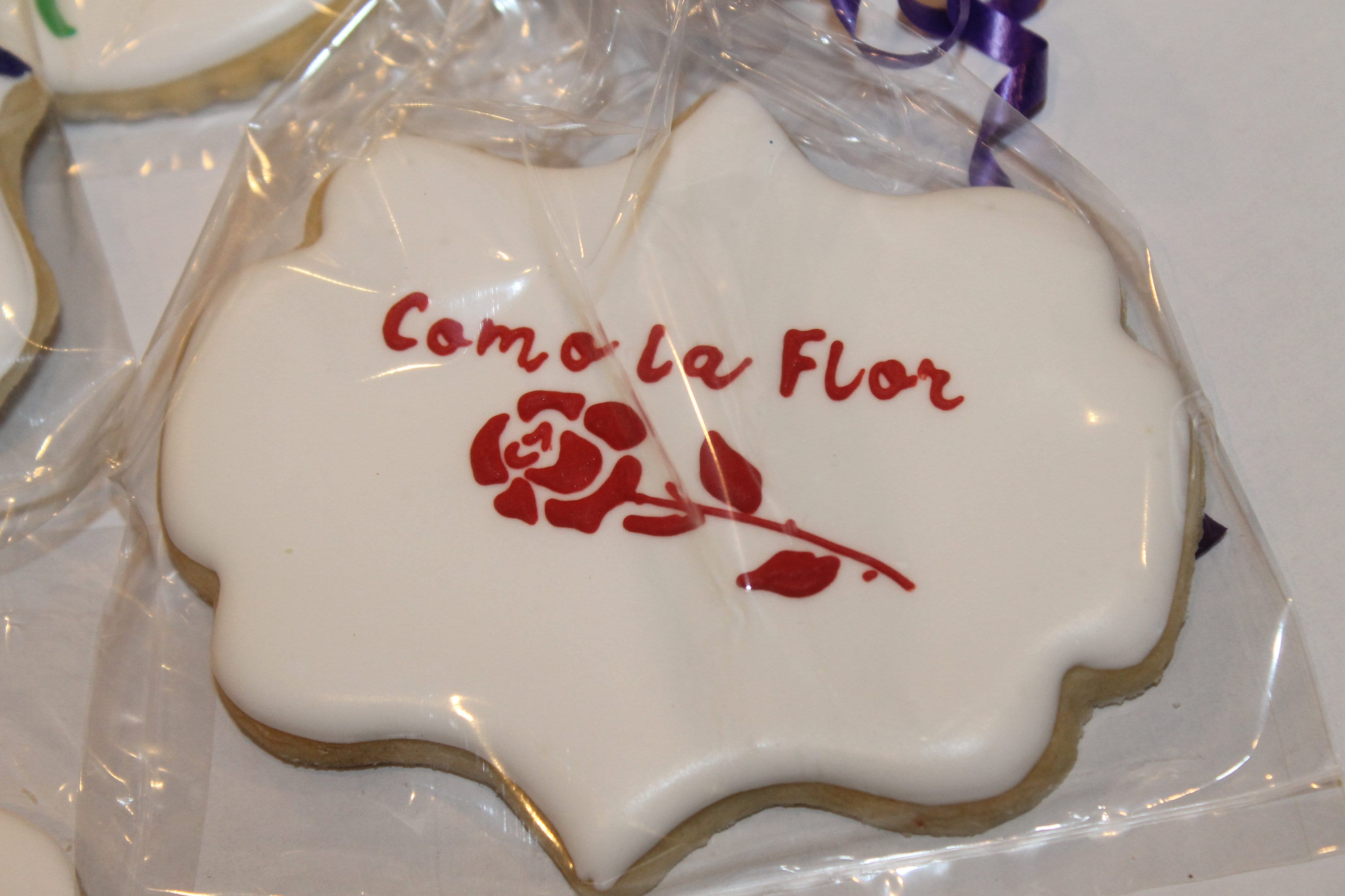 12 Selena-themed Decorated Sugar Cookies - A Tribute to the Queen of ...