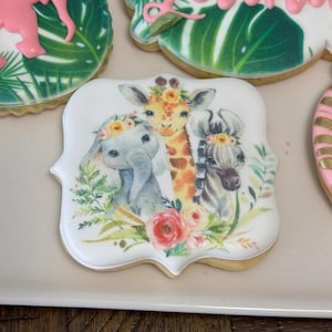 Two Wild Birthday Sugar Cookies - Set of 12 Untamed Delights - Etsy