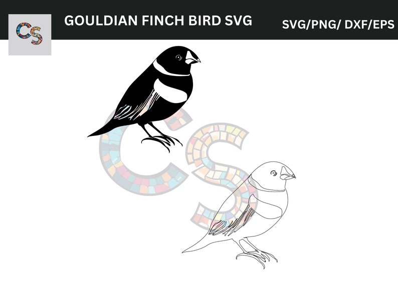 Gouldian Finch Bird SVG Bundle | Detailed Outlines and Silhouettes ...