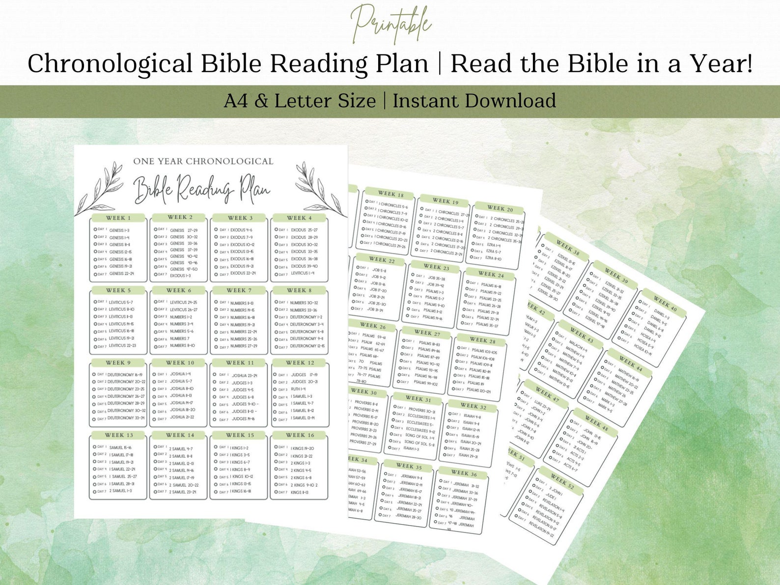 Chronological Bible Reading Planner| Checklist | Bible Study | Bible ...