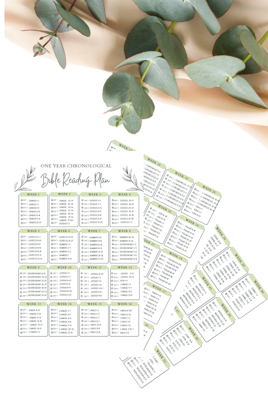Chronological Bible Reading Planner| Checklist | Bible Study | Bible ...