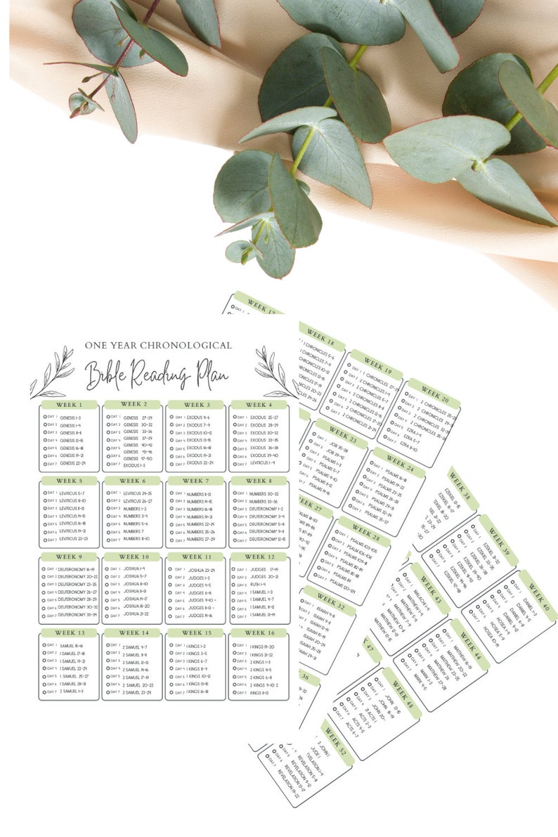 Chronological Bible Reading Planner| Checklist | Bible Study | Bible ...
