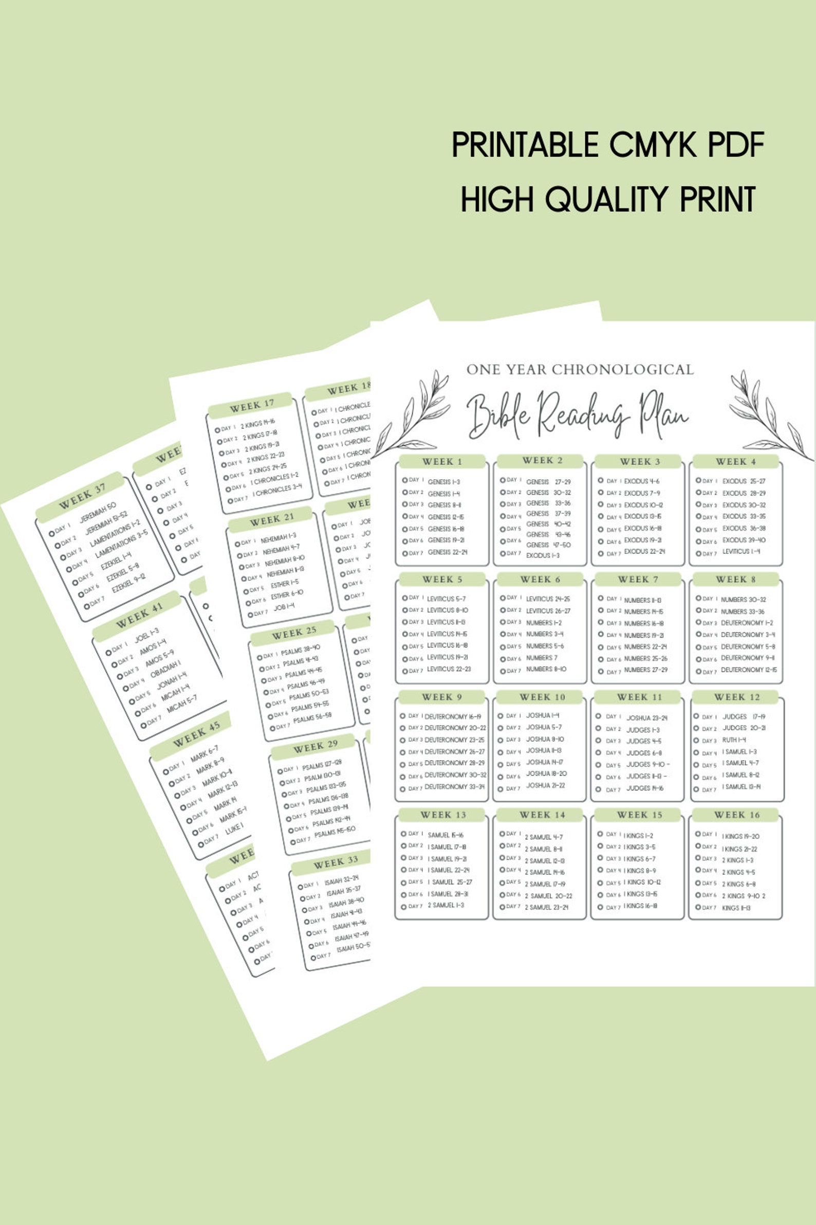 Chronological Bible Reading Planner| Checklist | Bible Study | Bible ...
