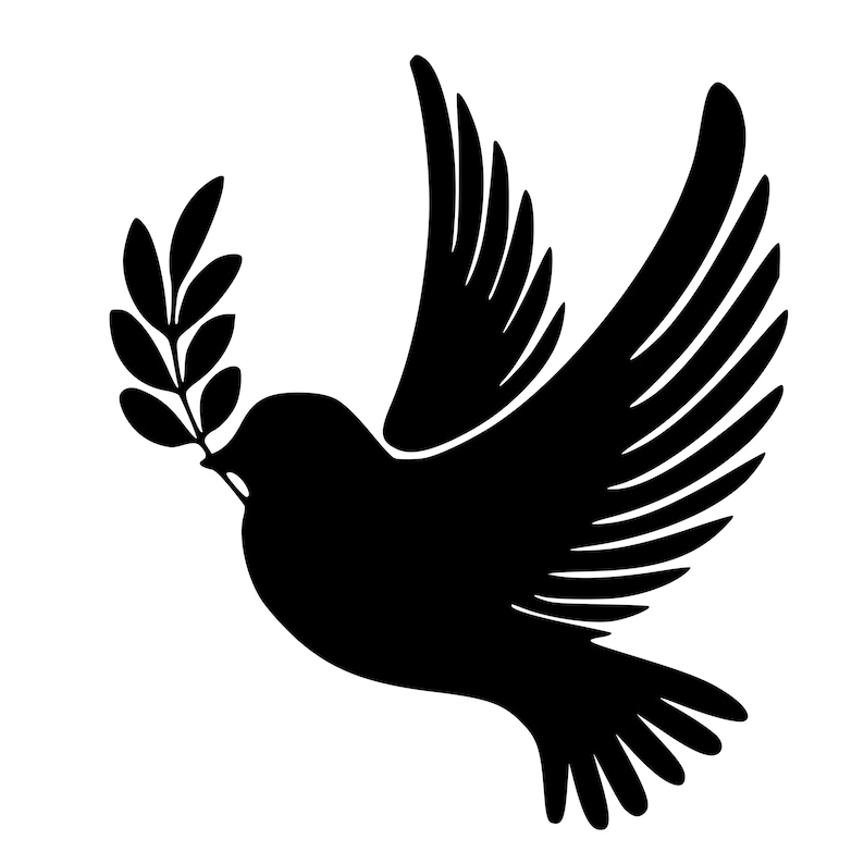 Holy Confirmation Pigeon, Holy Confirmation Svg, Holy Confirmation ...