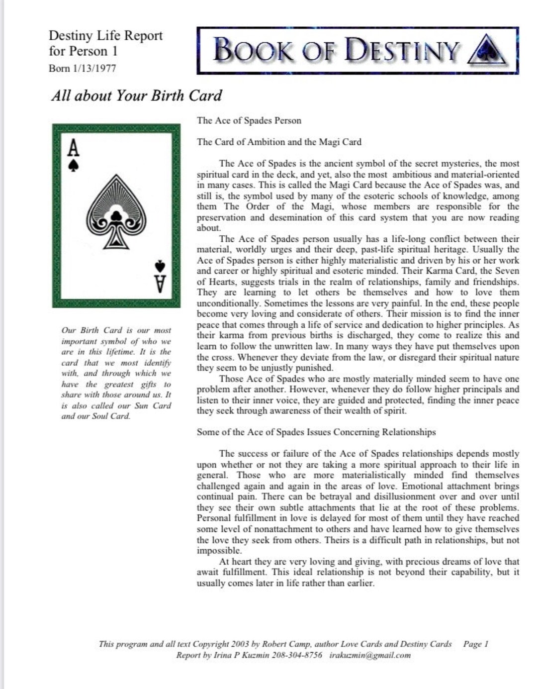 Life Report With Destiny Cards - Etsy