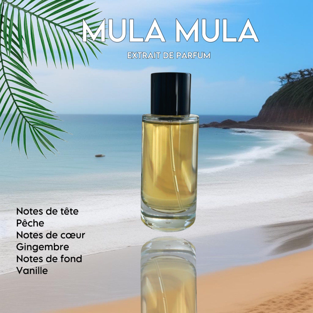 Moula Luxury Perfume Very High Quality and Very Resistant - Etsy