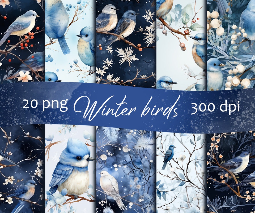 Winter Birds Scrapbook Paper, Digital Christmas Papers, Printable ...