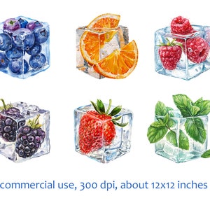 Watercolor Fruit Ice Cubes Clipart: Cocktail PNG Graphics (digital ...