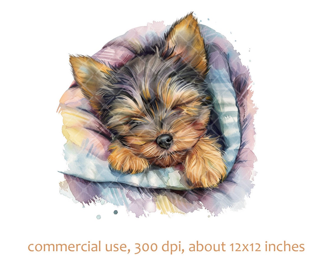 Yorkshire Terrier PNG Bundle, Watercolor Yorkshire PNG Images for Sublimation Crafting Digital ...