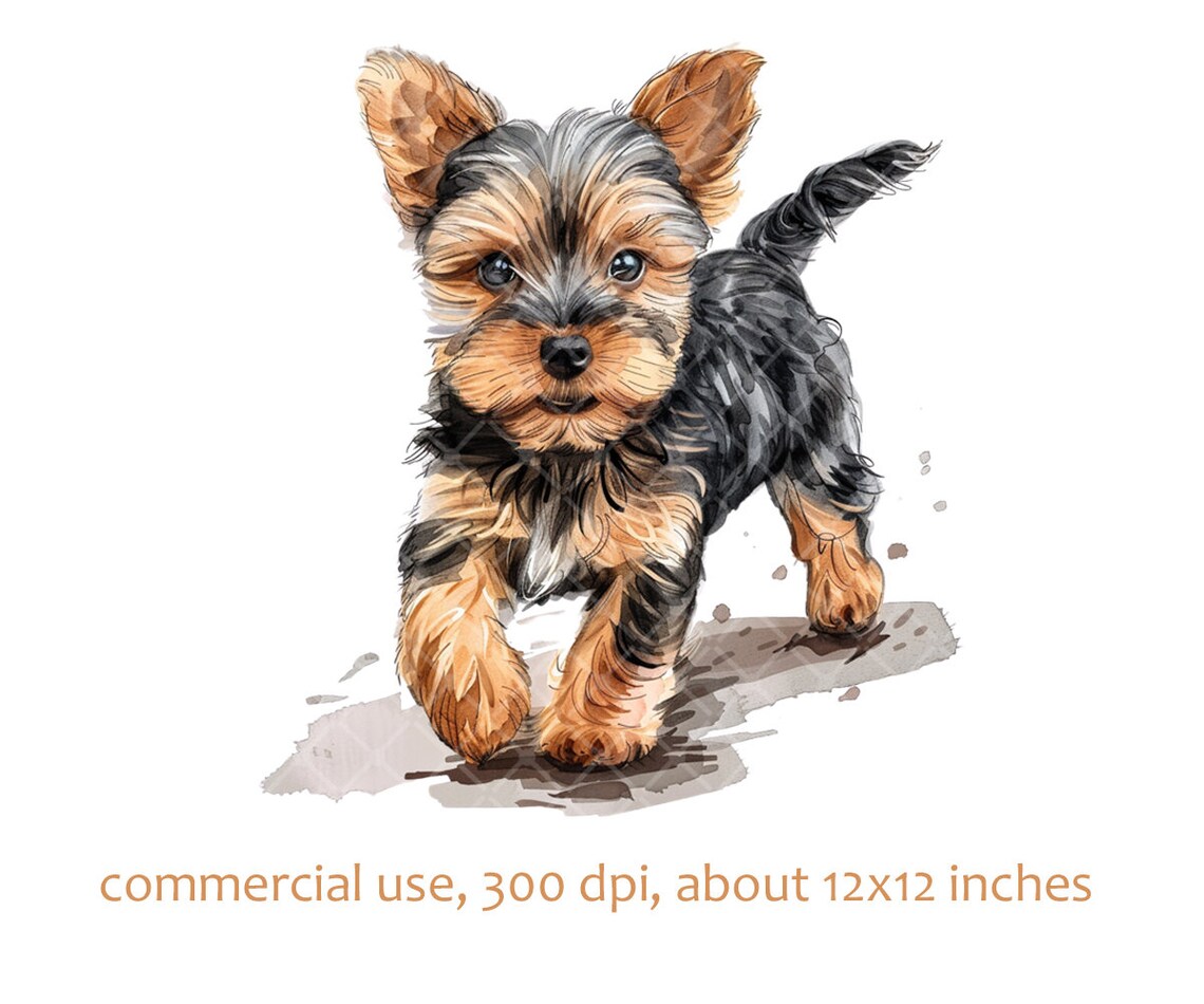 Yorkshire Terrier PNG Bundle, Watercolor Yorkshire PNG Images for Sublimation Crafting Digital ...