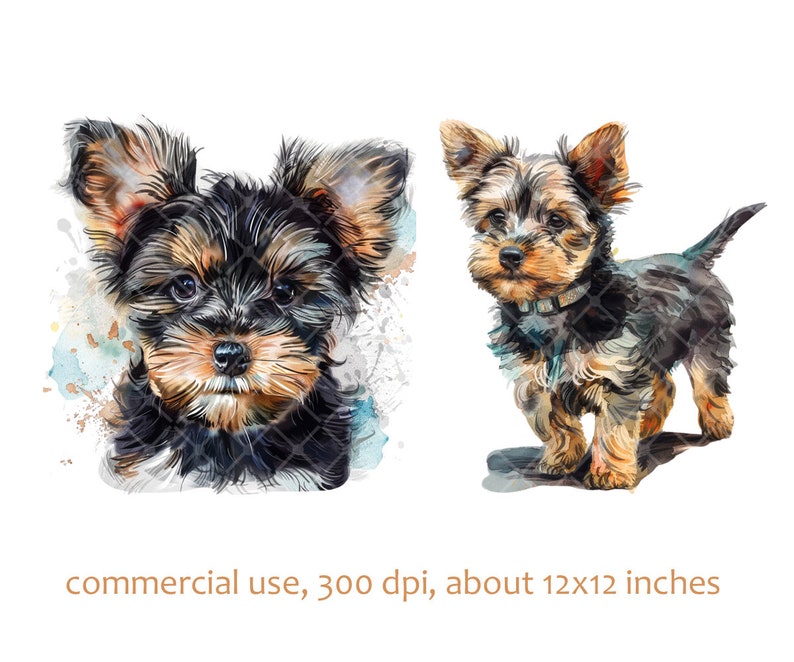 Yorkshire Terrier PNG Bundle, Watercolor Yorkshire PNG Images for Sublimation Crafting Digital ...