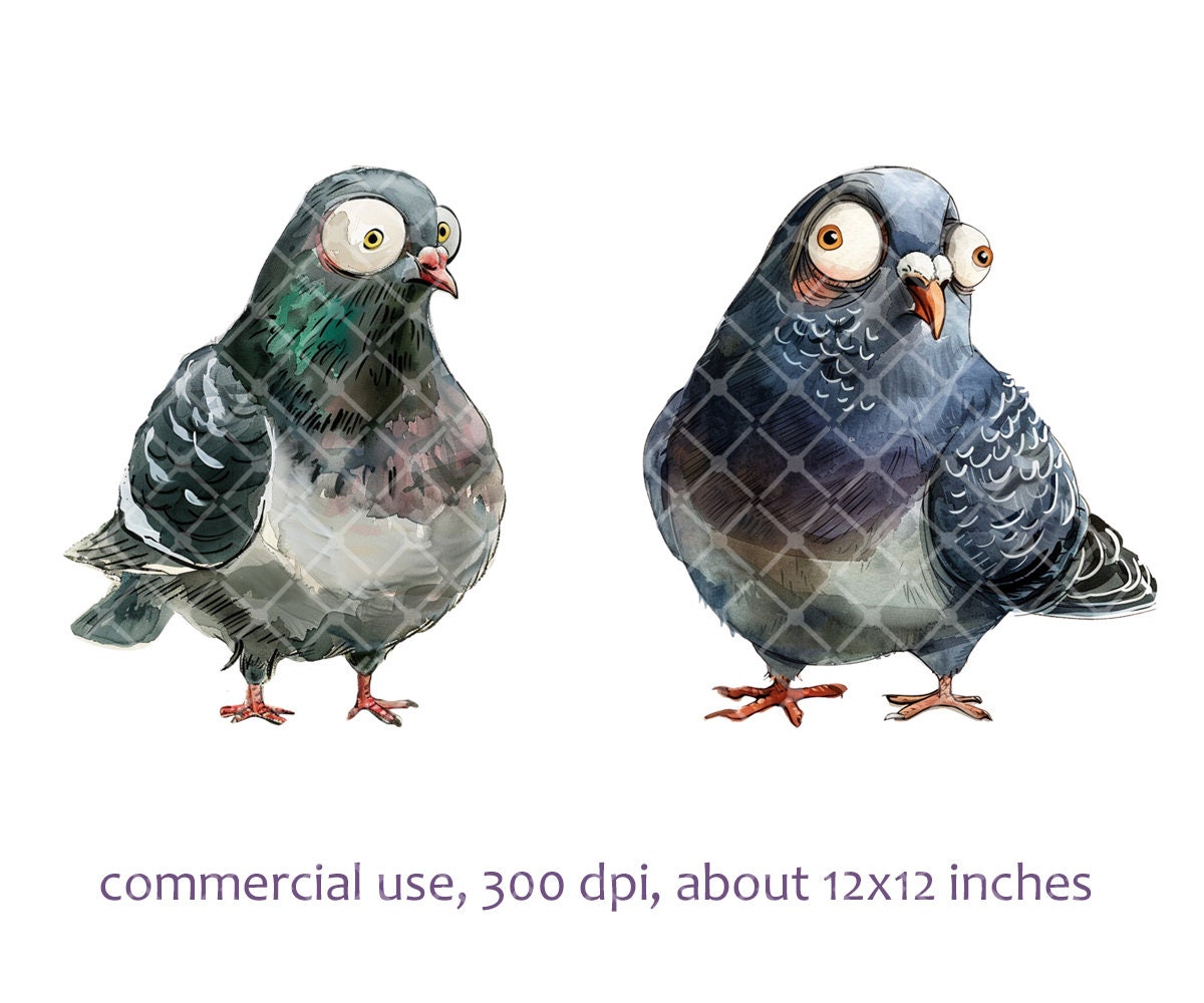 14 Watercolor Funny Pigeons Clipart, Printable Boggle-eyed Birds ...