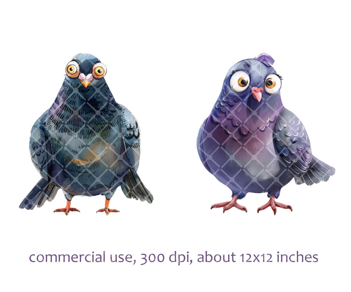 14 Watercolor Funny Pigeons Clipart, Printable Boggle-eyed Birds ...