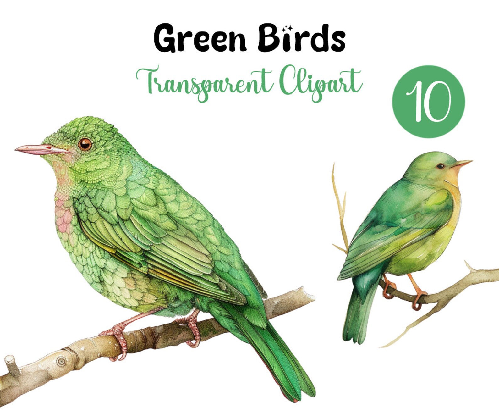 10 Watercolor Green Bird on A Branch Clipart, Printable Greenbird ...