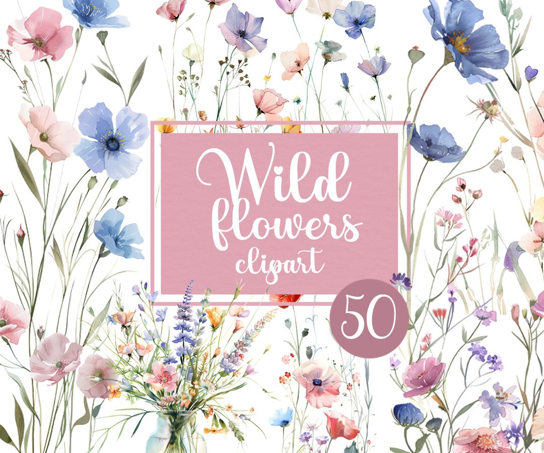 Watercolor Wildflower Clipart: 50 PNG Floral Elements (digital Download ...