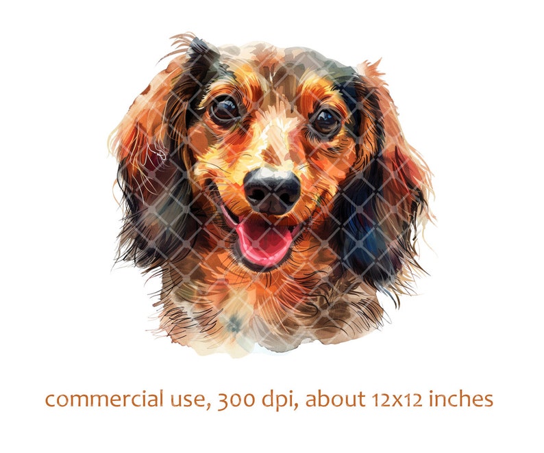 10 Watercolor Dachshund Clipart, Printable Dogs and Puppies Watercolor ...